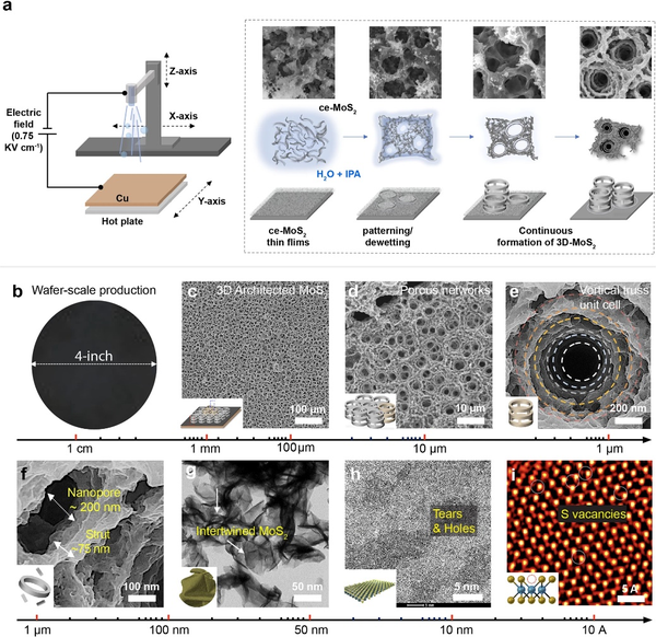 锂电最新Nature子刊：从毫米到埃米，实现7级MoS₂结构 - 知乎
