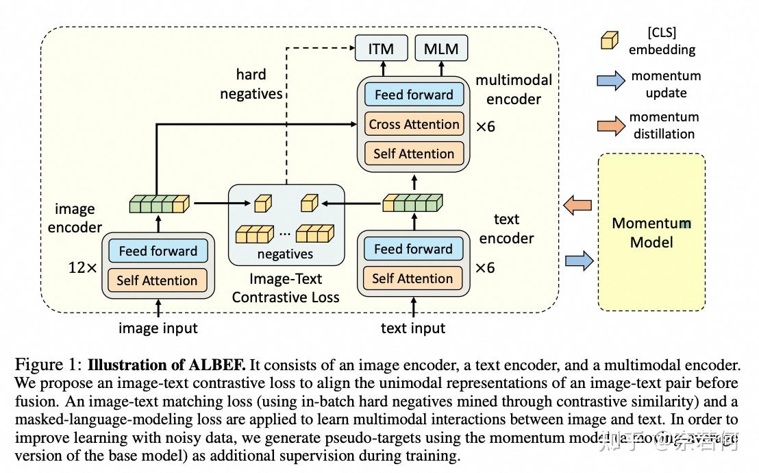多模态之- ALBEF - 知乎