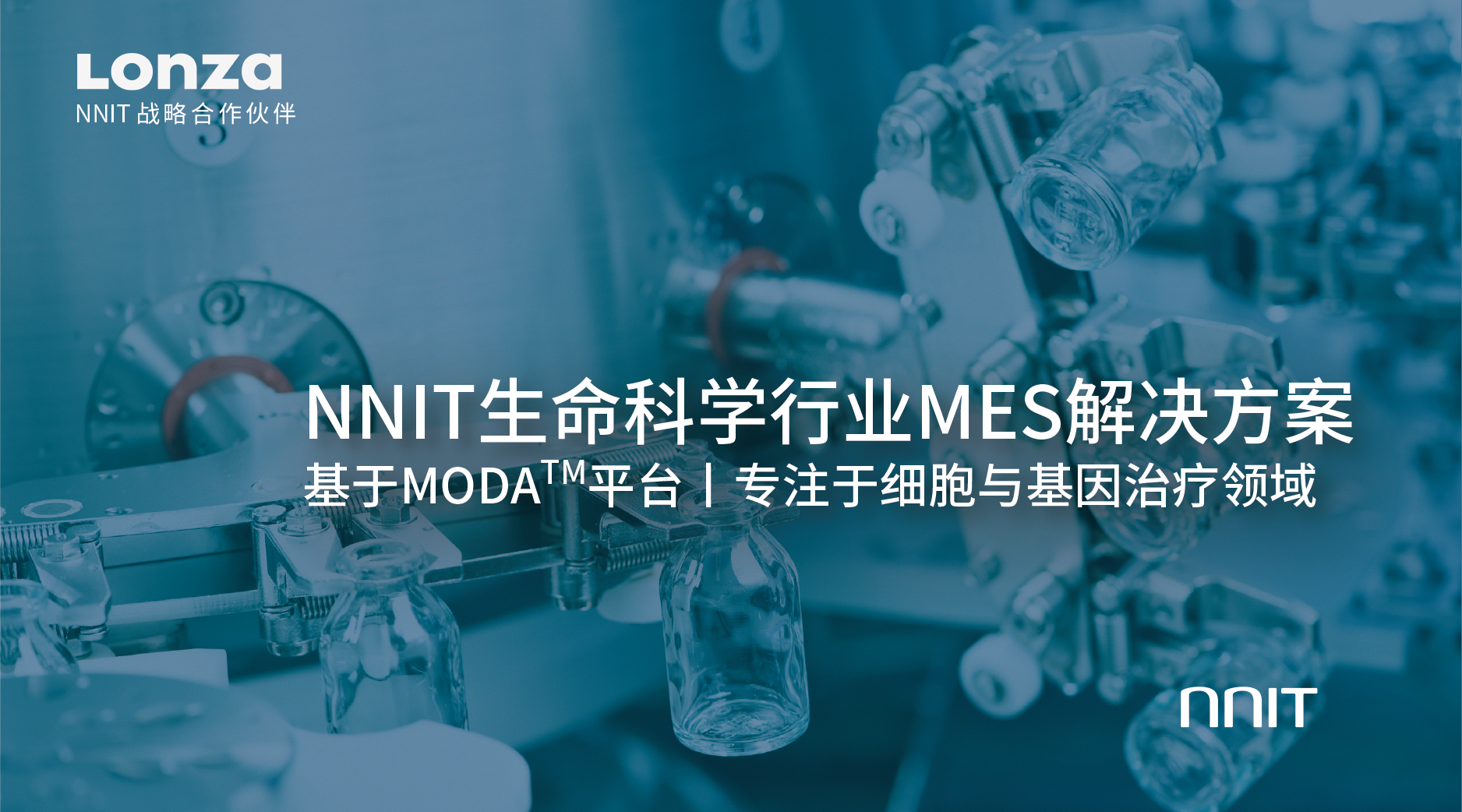NNIT是一家怎样的公司？ - 知乎