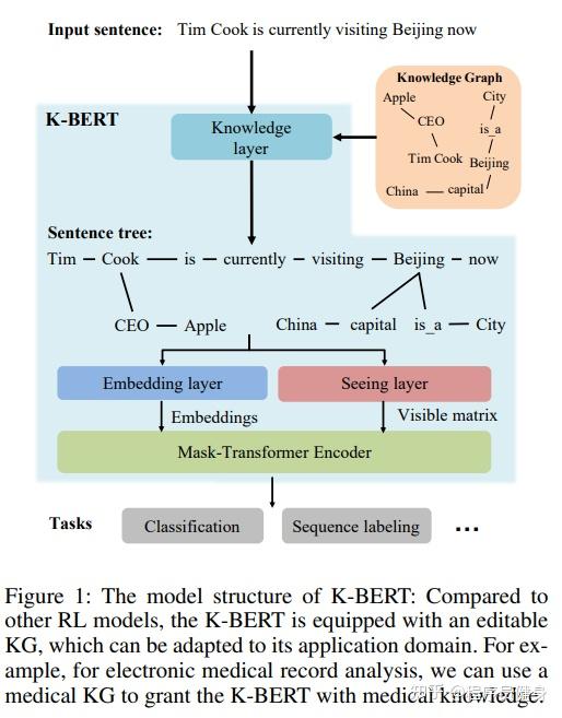 【文献阅读笔记】K-BERT: Enabling Language Representation with Knowledge Graph - 知乎