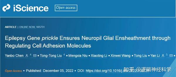 专家点评 iScience︱中国科学院生物物理研究所李岩团队揭示家族性癫痫分子机制 - 知乎