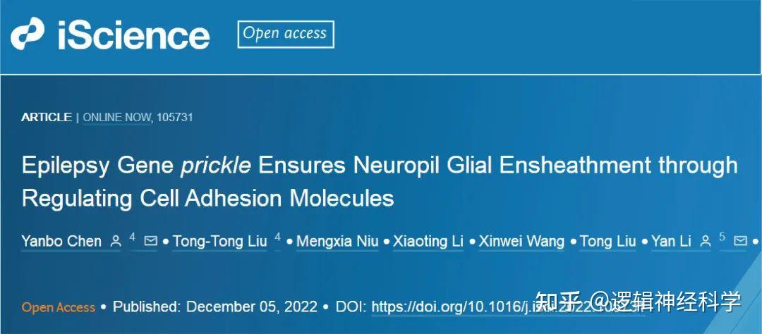 专家点评 iScience︱中国科学院生物物理研究所李岩团队揭示家族性癫痫分子机制 - 知乎