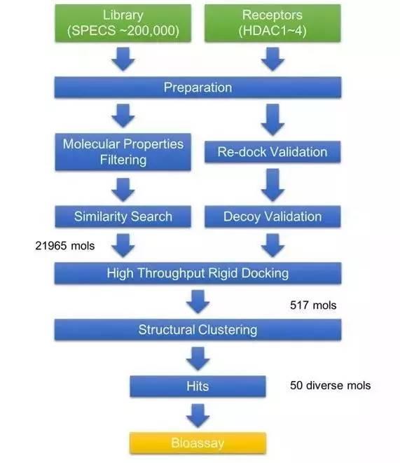 HDAC家族蛋白抑制剂多策略虚拟筛选 - 知乎