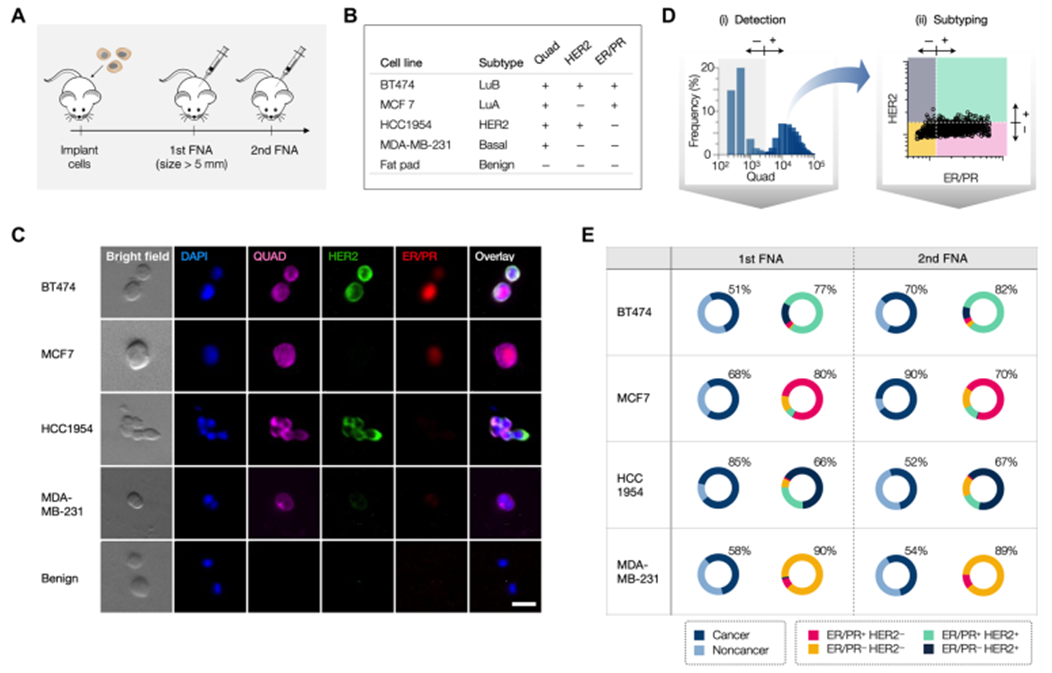 Sci Trans Med| 便携式乳腺癌诊断系统, 1小时50个细胞诊断受体亚型 - 知乎