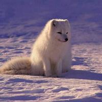 论文笔记总结2-单通道语音分离(时域dprnn) - 知乎