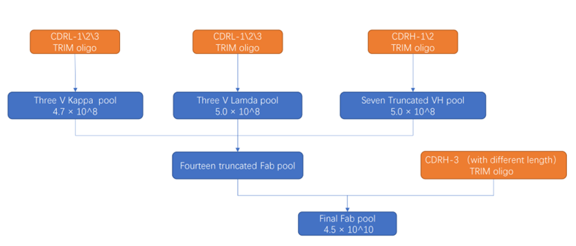高效发现治疗性抗体——噬菌体展示文库的进化之路 - 知乎