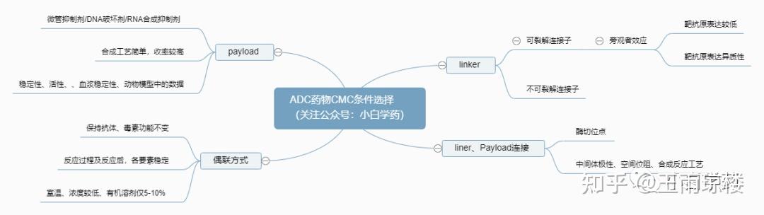 ADC药物CMC策略 - 知乎