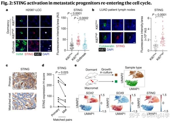 Nature | 抑制肿瘤转移的新通路——STING！ - 知乎