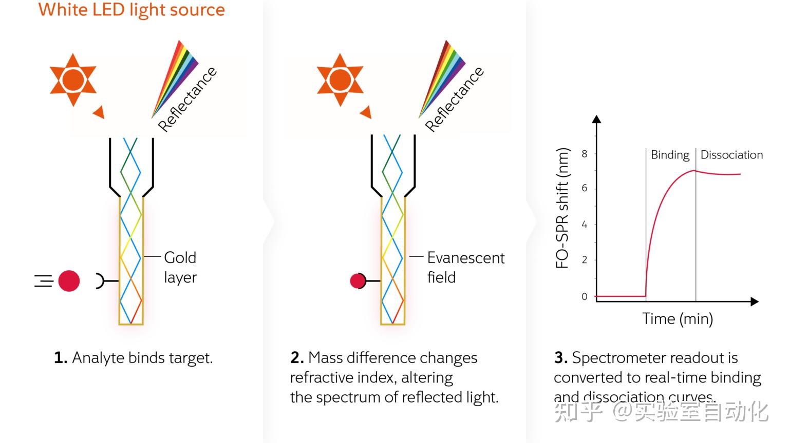 Fox Biosystems 光纤表面等离子体共振仪（FO-SPR）-生物大分子相互作用仪 - 知乎