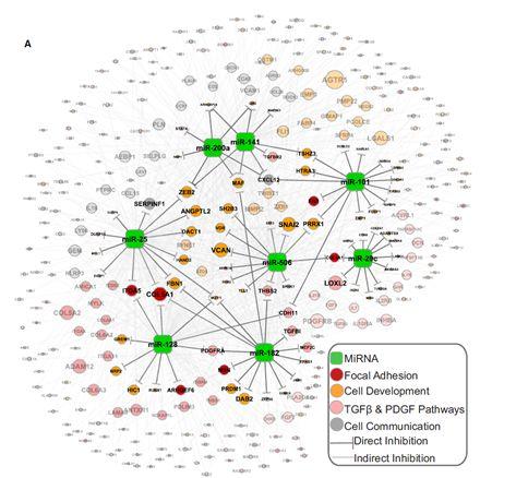 PGM(probabilistic graphical model)在调控网络中的应用 - 知乎