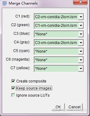 如何用ImageJ处理荧光图和WB图 - 知乎