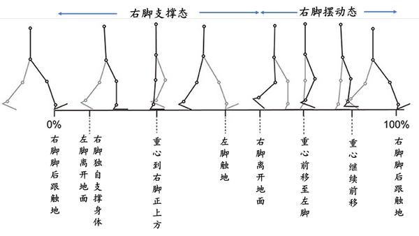 足式机器人步态控制（1）：相位分析 - 知乎