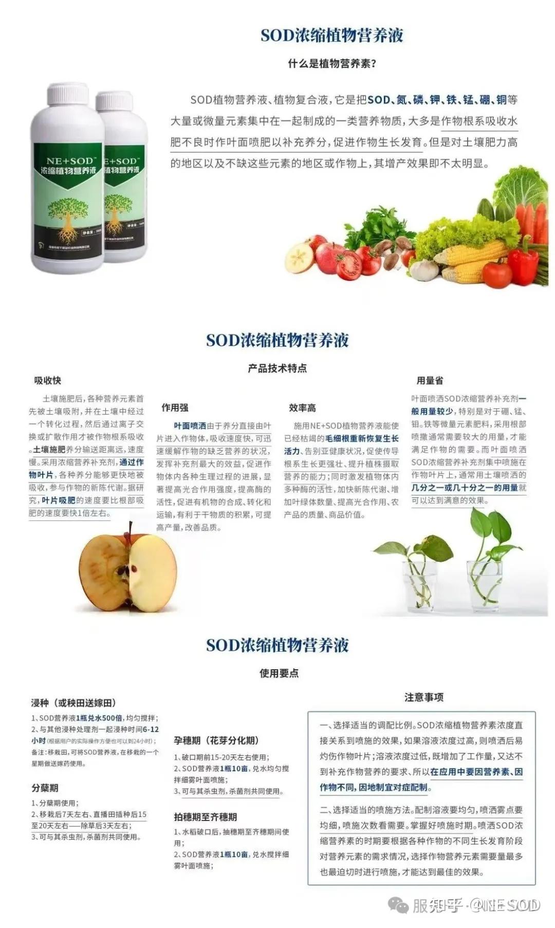 别小看SOD！它是让有机肥更高效、饲料更健康的“黄金成员” - 知乎