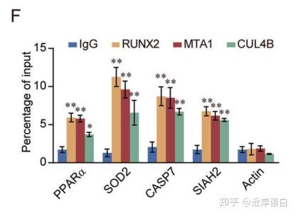 乳腺癌的发生与骨转移癌---- 解析RUNX2/NuRD(MTA1)/CRL4B复合体的作用机制 - 知乎