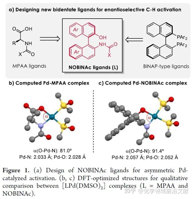 JACS：钯催化不对称C-H活化/环加成反应中高效配体的发现 - 知乎