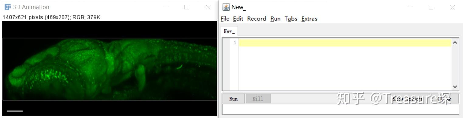 ImageJ实用技巧——3D渲染动画(插件篇) - 知乎