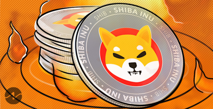 SHIB 军队兴奋，因为 Shiba Inu 在周末集会 30% - 知乎