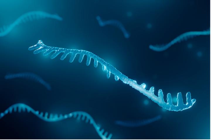 RNA world学说 （RNA world hypothesis） - 知乎