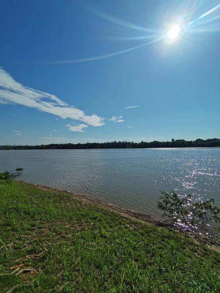 JWT+redis实现三种令牌管理方案 - 知乎