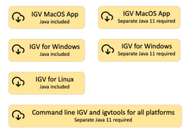 基因组浏览器IGV的安装和图形解读 - 知乎