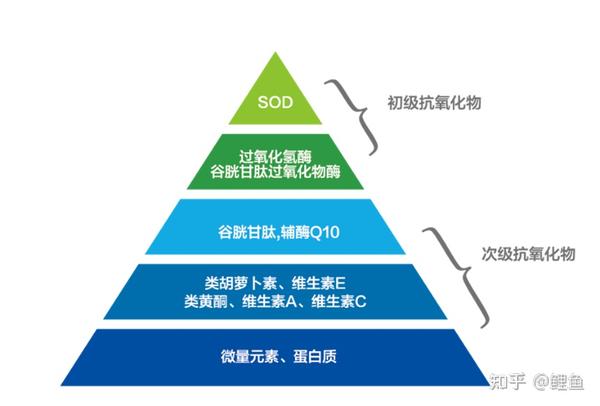 SOD介绍及功效应用 - 知乎