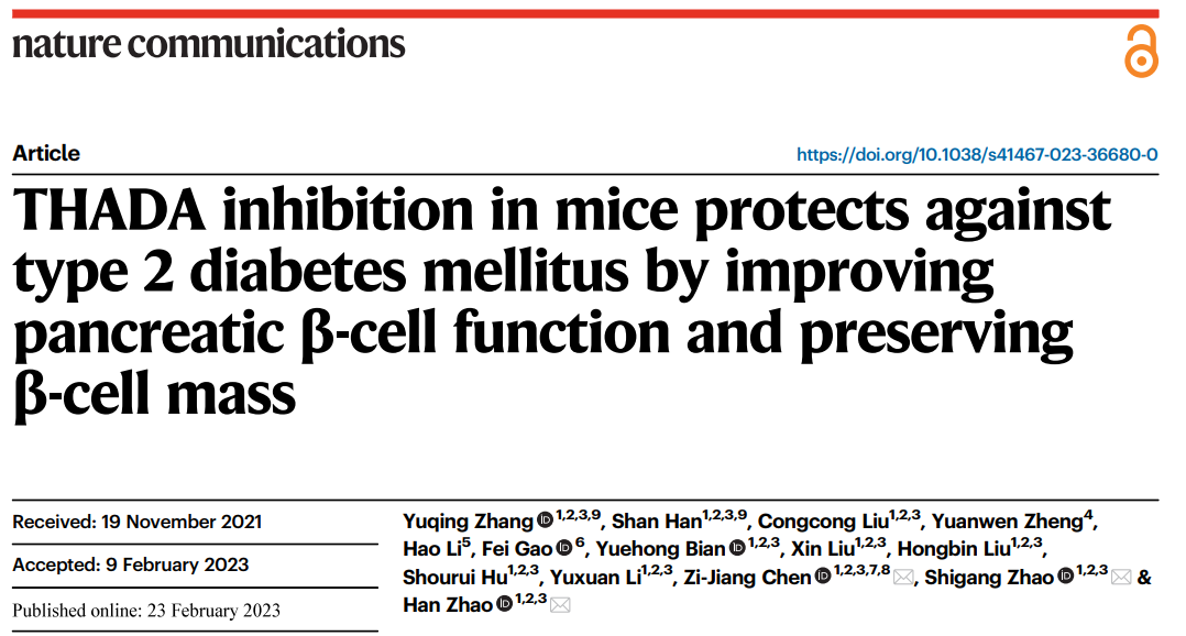 Nat Commun | 山东大学陈子江院士/赵涵教授团队发现血糖代谢调控新靶点 - 知乎