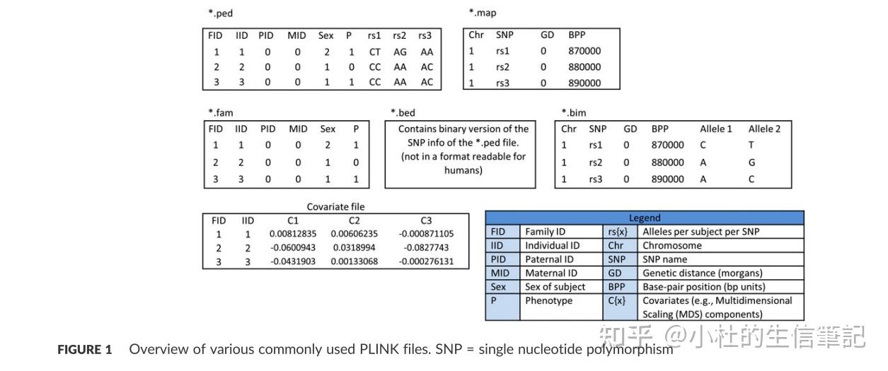GWAS分析教程 | 一篇教程可以发3区SCI - 知乎