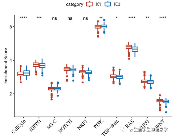 【小云解读生信图】功能超级强大的箱线图，你会看吗? - 知乎