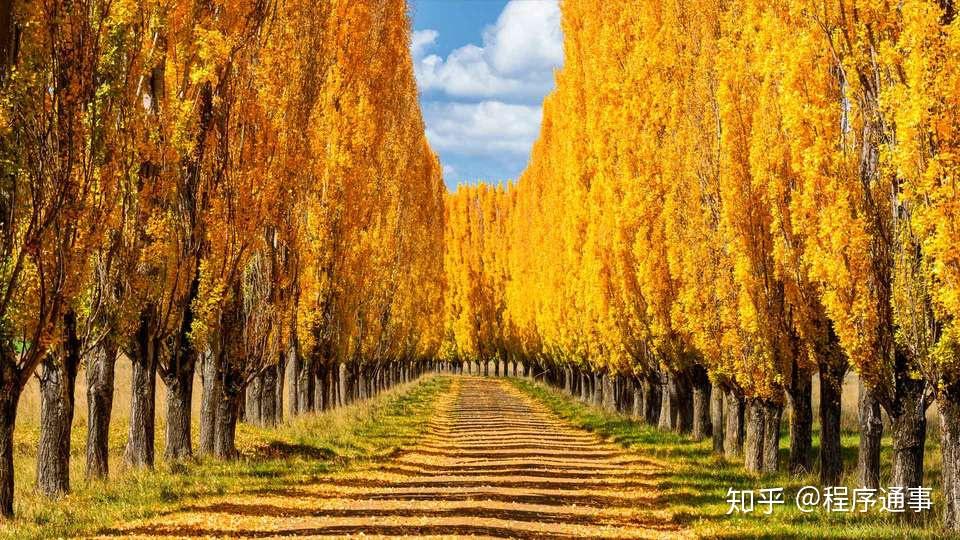 IDEA Debug 无法进入断点的解决方法 - 知乎