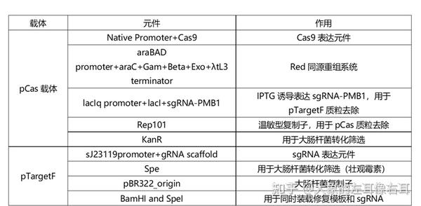 利用pCAS/pTargetF系统对大肠杆菌基因组进行基因编辑(以敲除endA基因为例） - 知乎