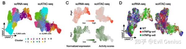 单细胞多组学（RNA + ATAC）联合分析的智慧 - 知乎