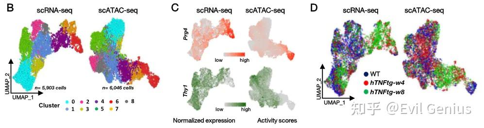单细胞多组学（RNA + ATAC）联合分析的智慧 - 知乎