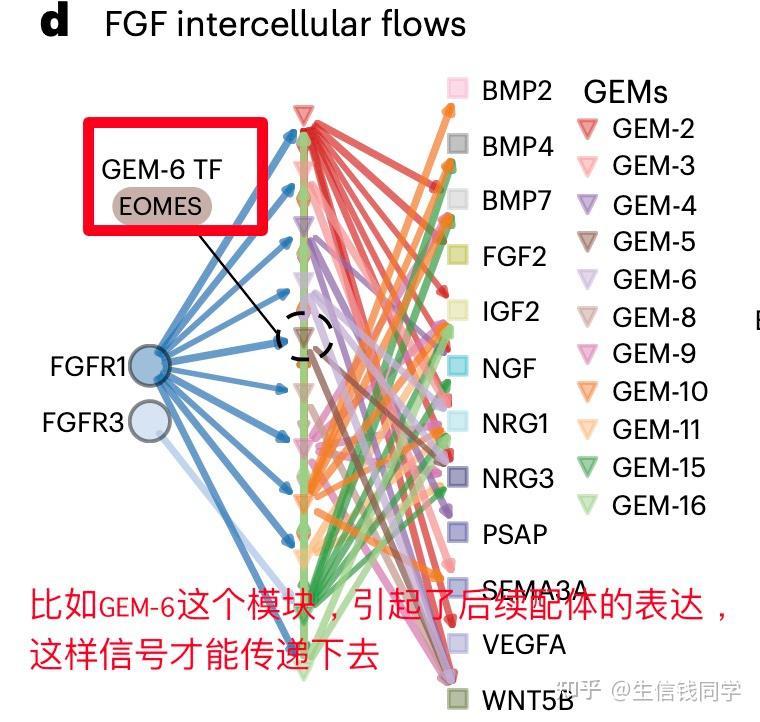这篇Nature Methods绝了，后面大家做单细胞或空间的细胞通讯肯定离不开这个 - 知乎
