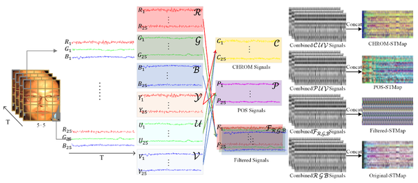 【rPPG论文阅读】rPPG-MAE: Self-supervised Pre-training with Masked ...