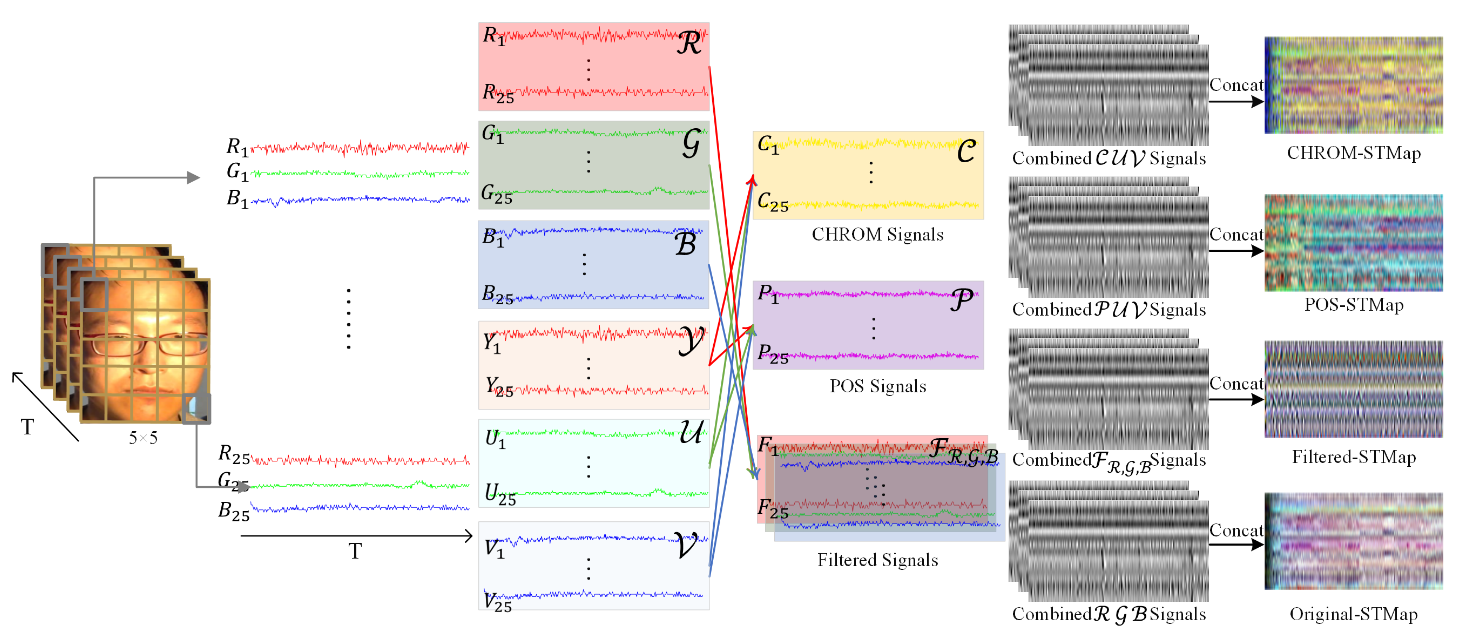 【rPPG论文阅读】rPPG-MAE: Self-supervised Pre-training with Masked ...