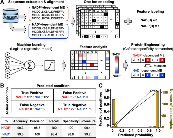 酶工程研究新突破，日本科学家结合人工智能解决30年难题，可显著加速和提高成功率 - 知乎