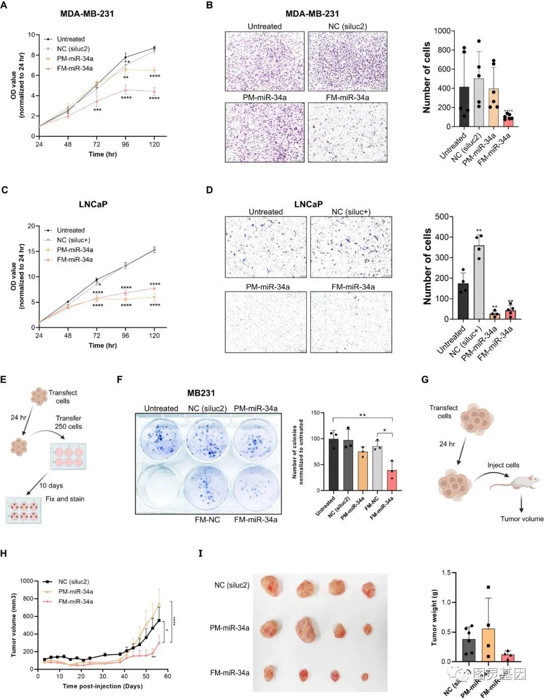 Oncogene | 首创MicroRNA靶向治疗肿瘤 - 知乎