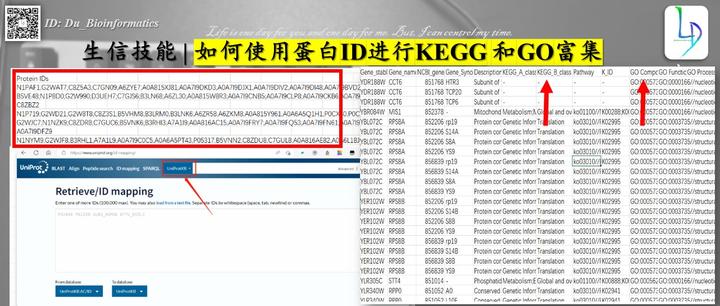 使用蛋白ID如何进行KEGG和GO富集分析 - 知乎