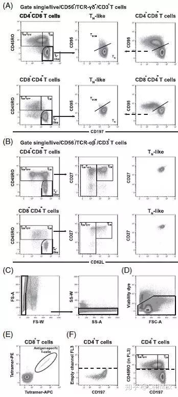 如何使用流式细胞术分析T细胞的综合表型？ - 知乎