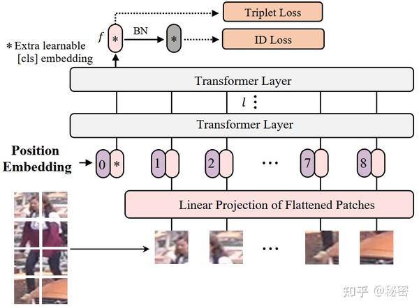 [ICCV2021] TransReID: Transformer-based Object Re-Identification - 知乎