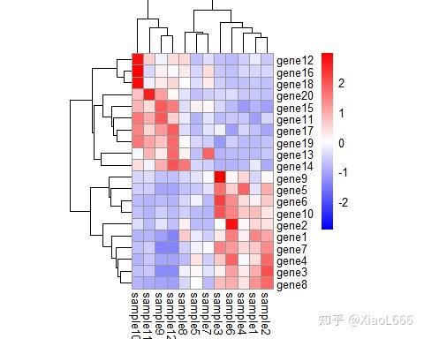 使用pheatmap包绘制热图 - 知乎
