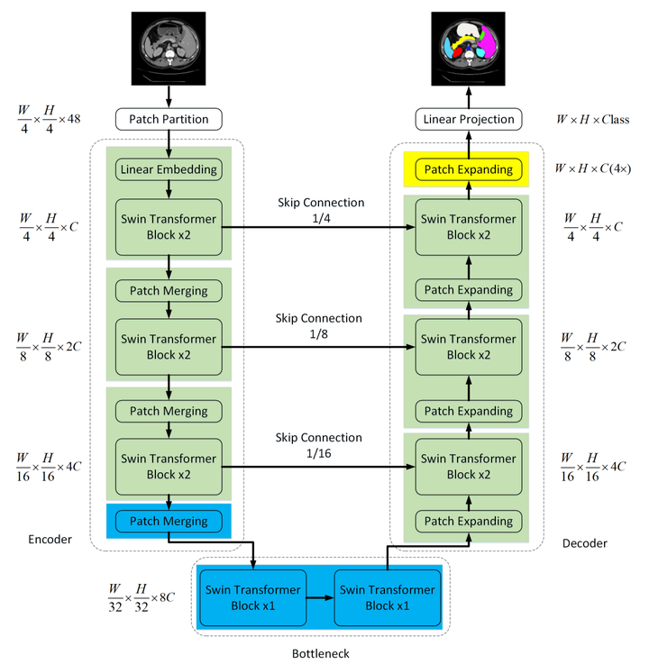 Swin-Unet：Unet形状的纯Transformer的医学图像分割 - 知乎