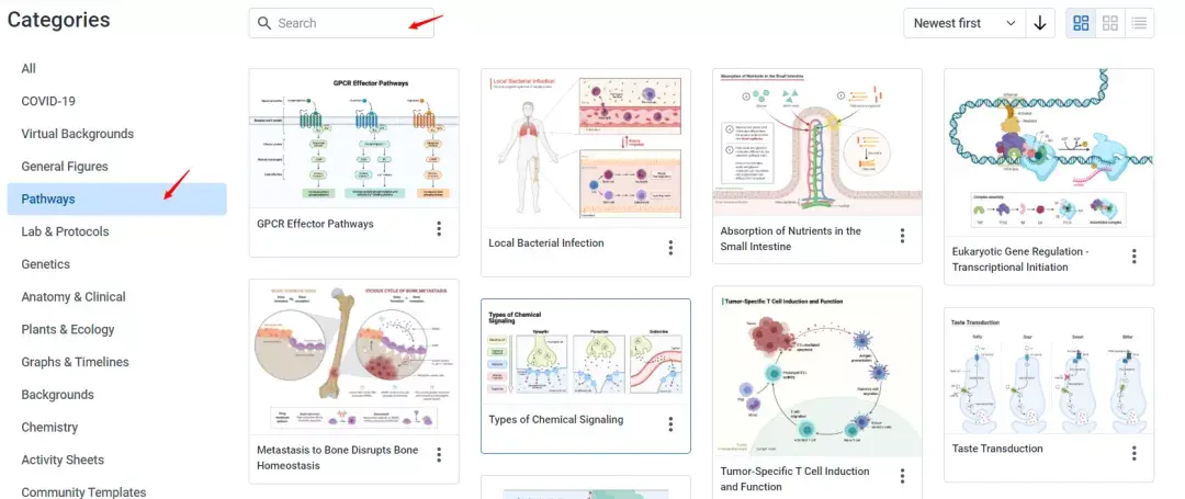 Nature、Cell级别！提升论文逼格，这款软萌的科研绘图神器必不可少！ - 知乎