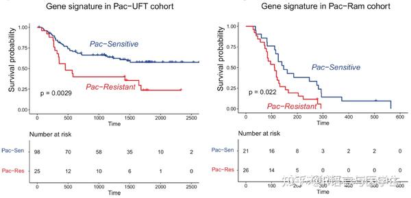 轻松复现25分顶刊Gut：机器学习找标志物 - 知乎