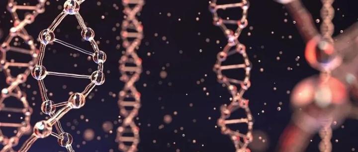 Nature｜首个高质量二倍体人类参考基因组！PacBio、Nanopore、Bionano、Hi-C技术各显神通 - 知乎