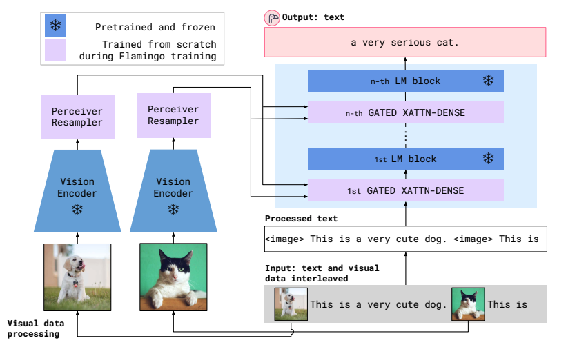 如何评价 DeepMind 最新的工作 Flamingo 在各种视觉语言任务上表现出的 FSL 能力? - 知乎