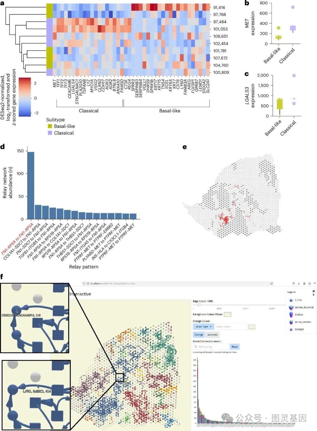 Nat Methods | 基于空间组学探讨细胞通讯：CellNEST揭示细胞间中继网络 - 知乎