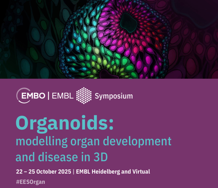第五届 EMBO|EMBL 类器官大会：600 科学家解锁发育疾病未来密码 - 知乎