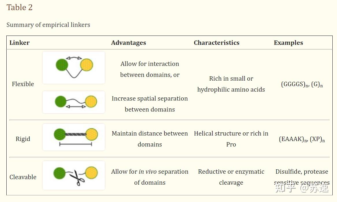 关于原核表达融合片段连接linker的选择 - 知乎