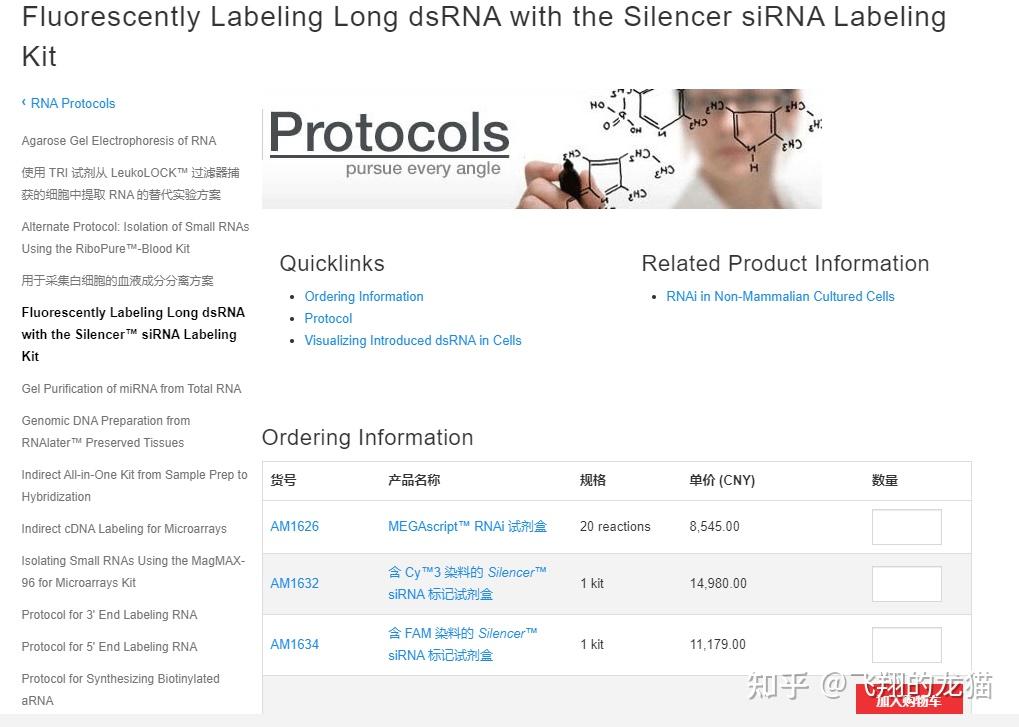 RNA干扰合成的dsRNA的浓度怎么检测和确定? - 知乎